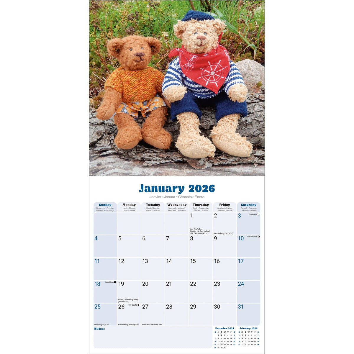 Teddy Bears Calendar 2026 – Avonside Publishing Ltd