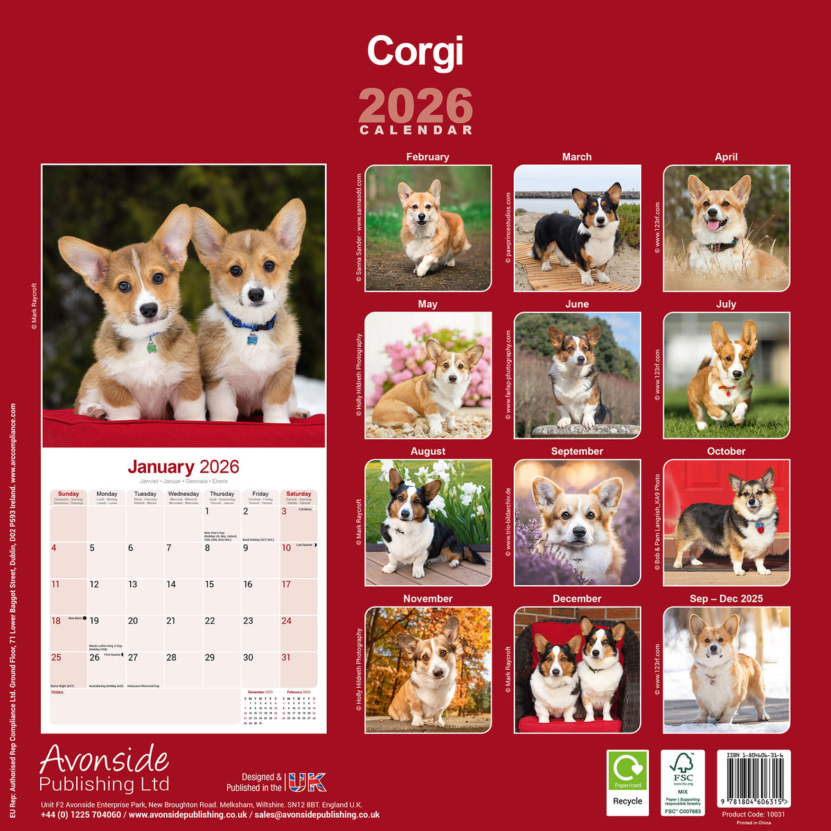 Corgi Calendar 2026 – Avonside Publishing Ltd