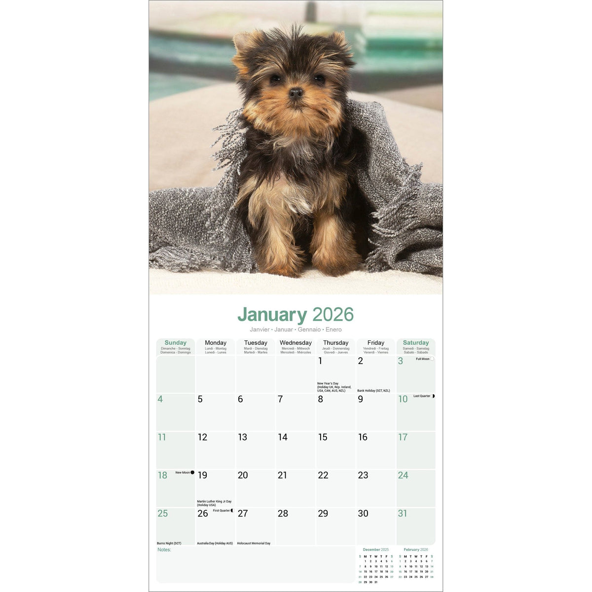 Yorkshire Terrier Puppies Calendar 2026 – Avonside Publishing Ltd