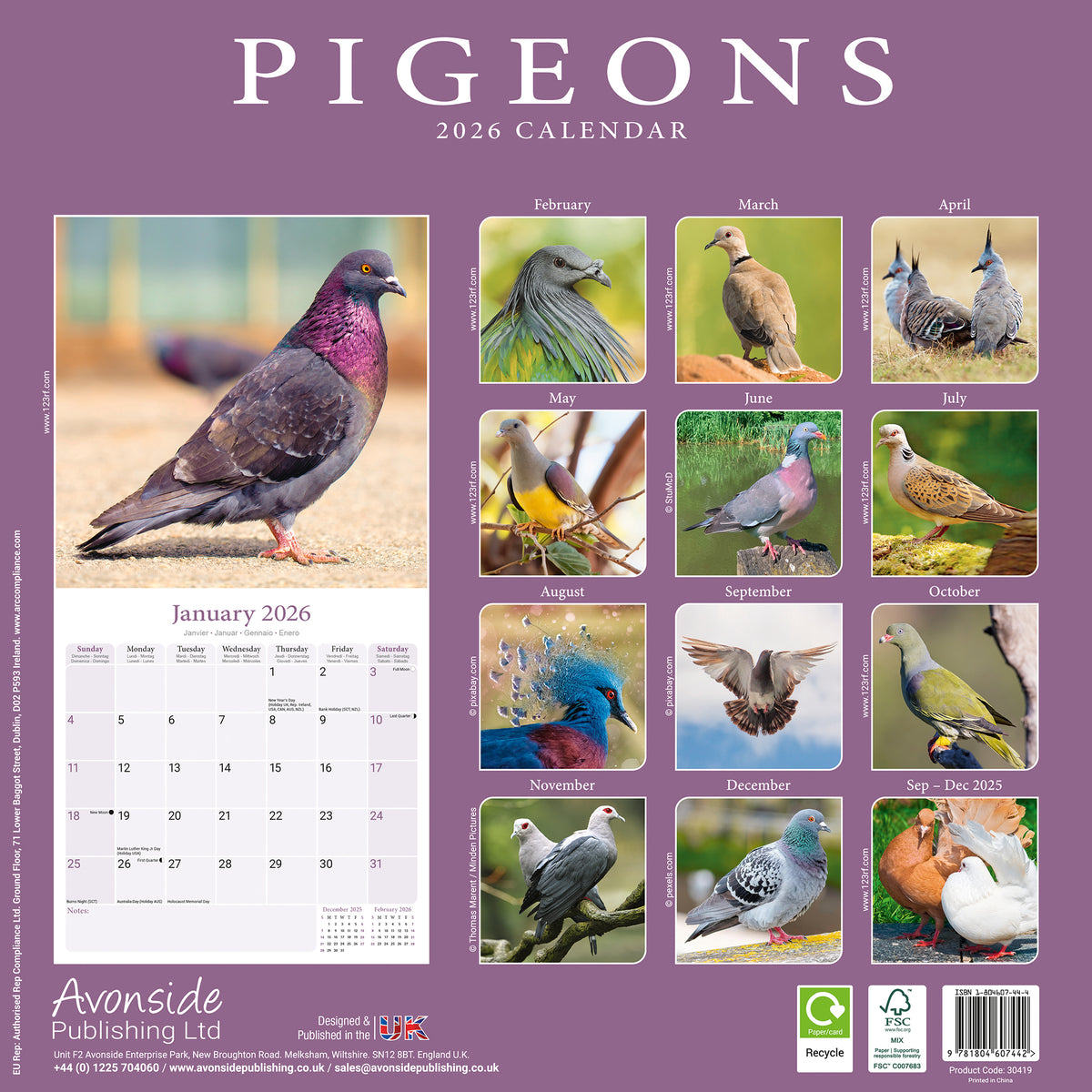 Pigeons Calendar 2026 – Avonside Publishing Ltd