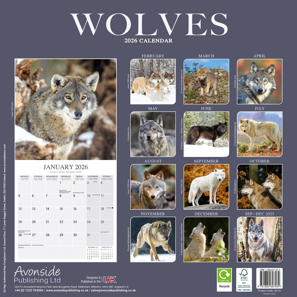 Wolves Calendar 2026 – Avonside Publishing Ltd