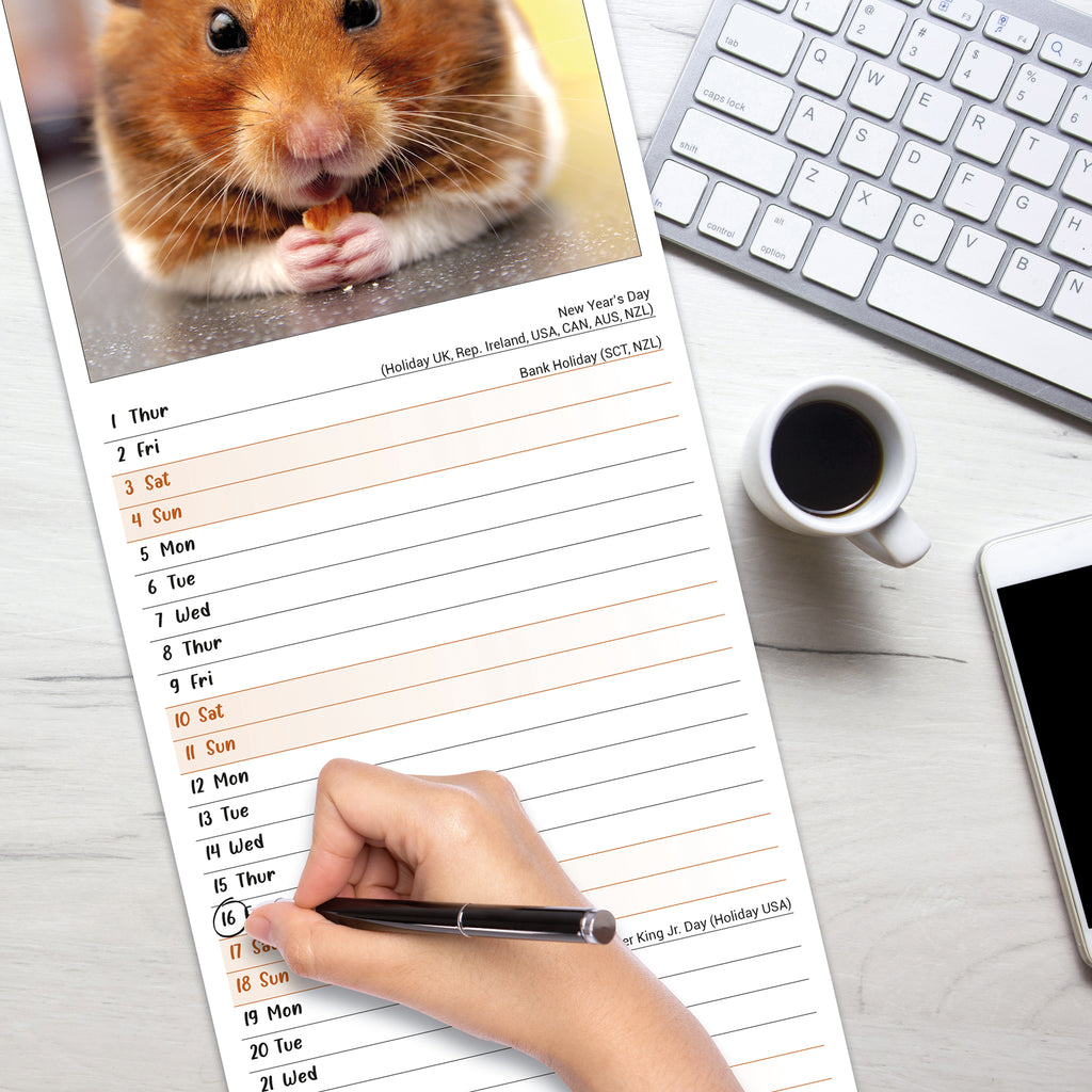 Animal Calendar 2024 Hamsters Slim 2025 Slimline Wall Calendar | Animal ...
