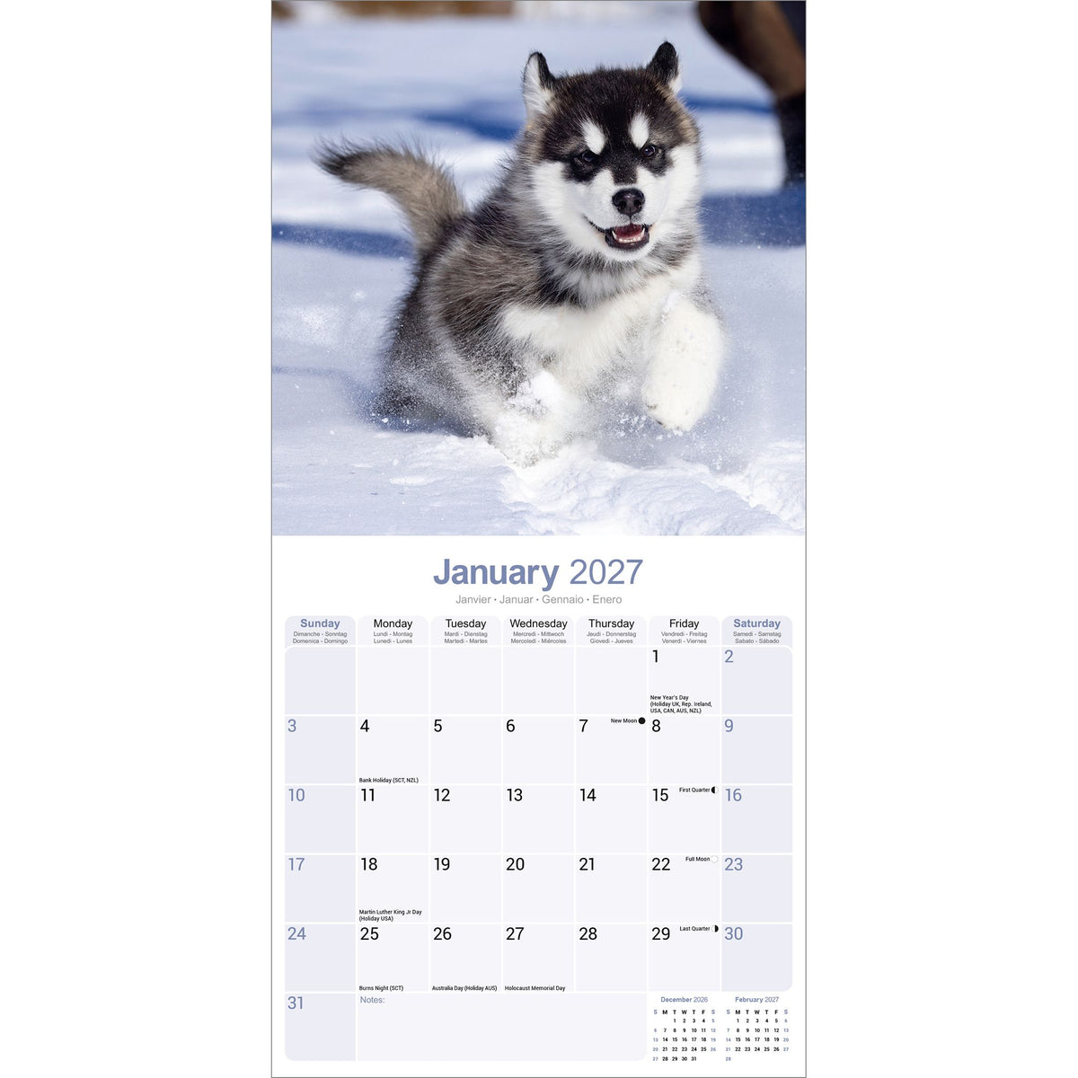 Alaskan Malamute Calendar 2027 – Avonside Publishing Ltd