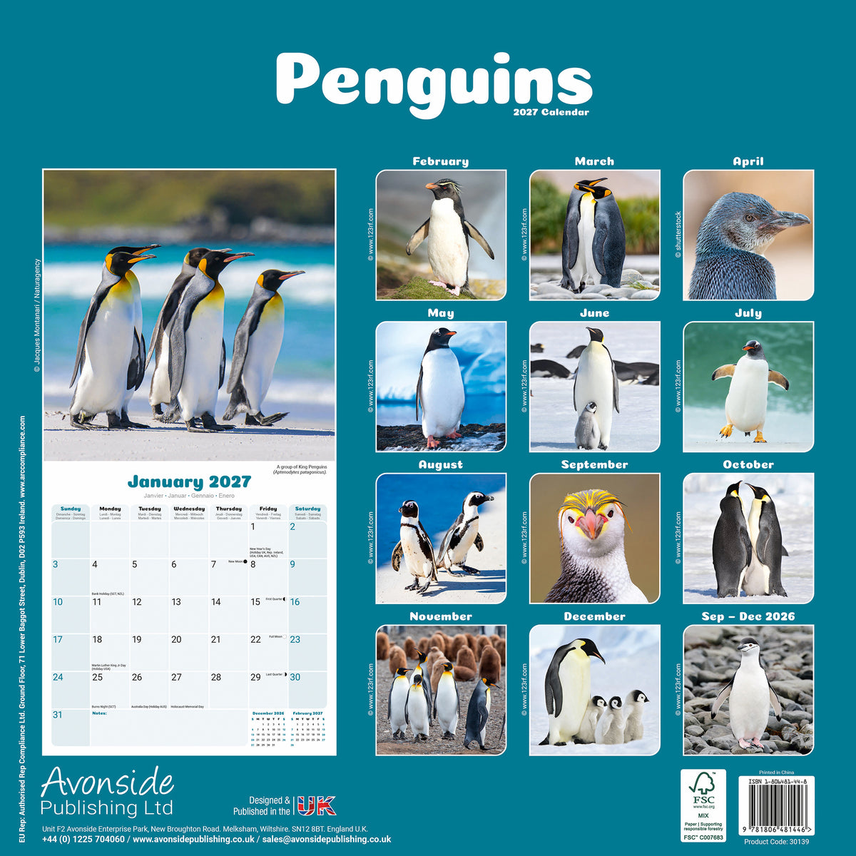 Penguins Calendar 2027 – Avonside Publishing Ltd