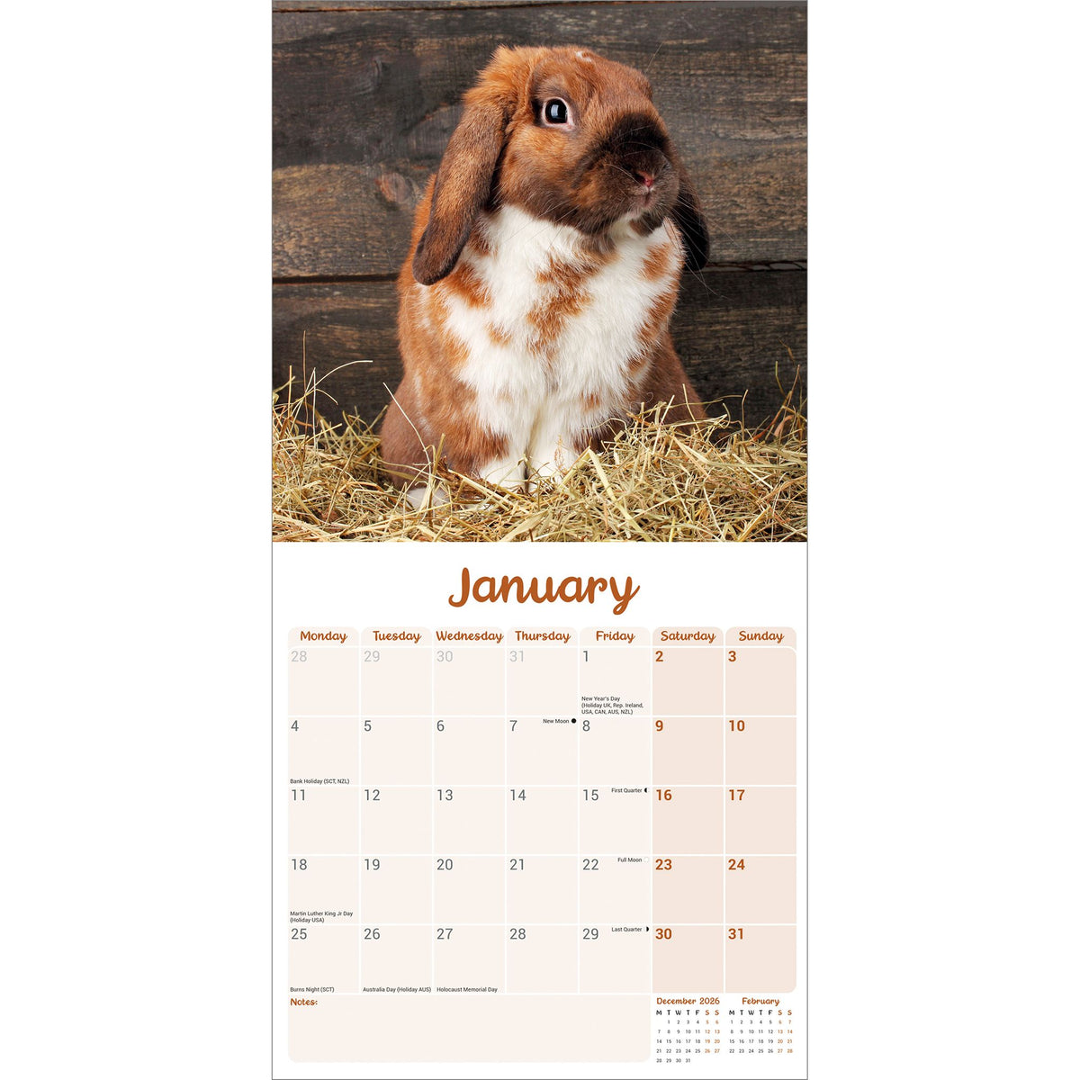 Lop Eared Rabbits Calendar 2027 – Avonside Publishing Ltd